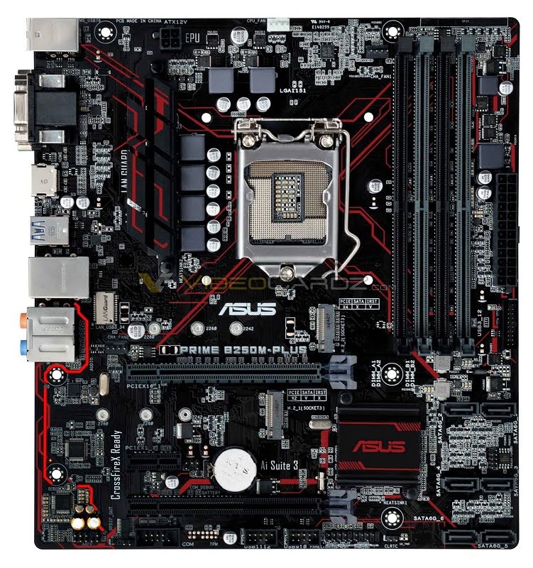 میان رده هایی کامل از ایسوس (ASUS B250) - سخت افزار مگ